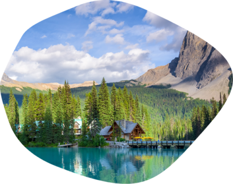 Wealth Management - WealthStone Inc.